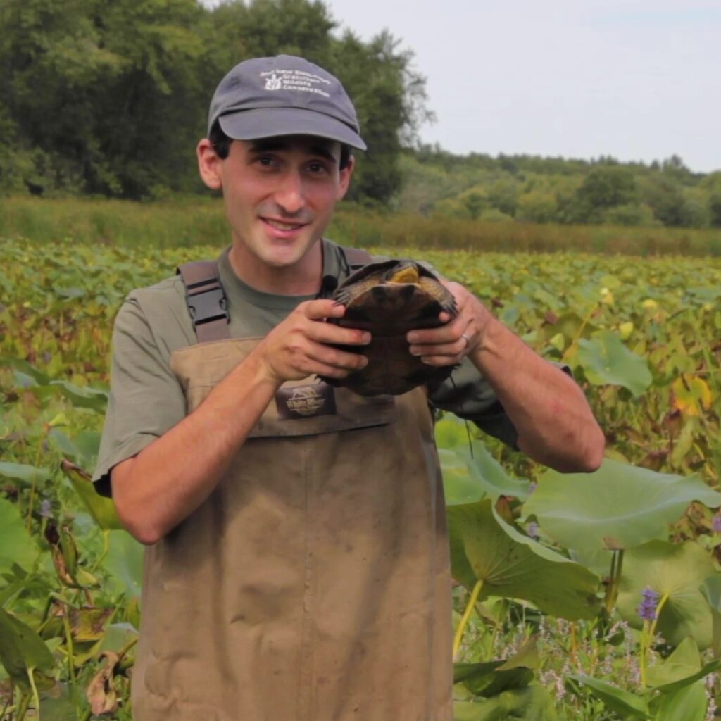 Matthew Kamm – ZNE Conservation Blog