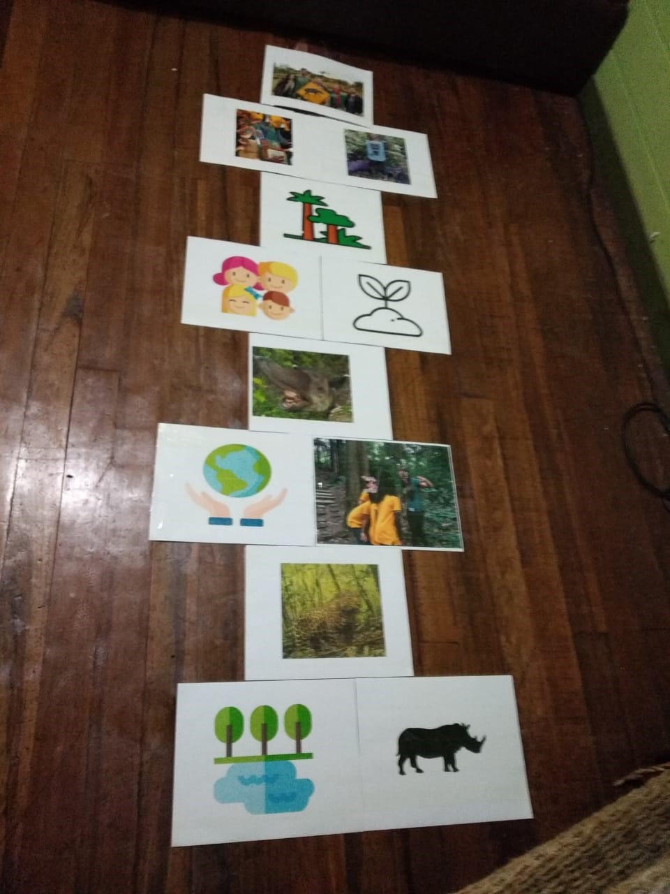 International Partner Spotlight: Baird’s Tapir Survival Alliance – ZNE ...