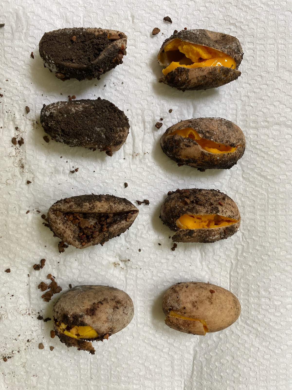 Hatching Plans – ZNE Conservation Blog