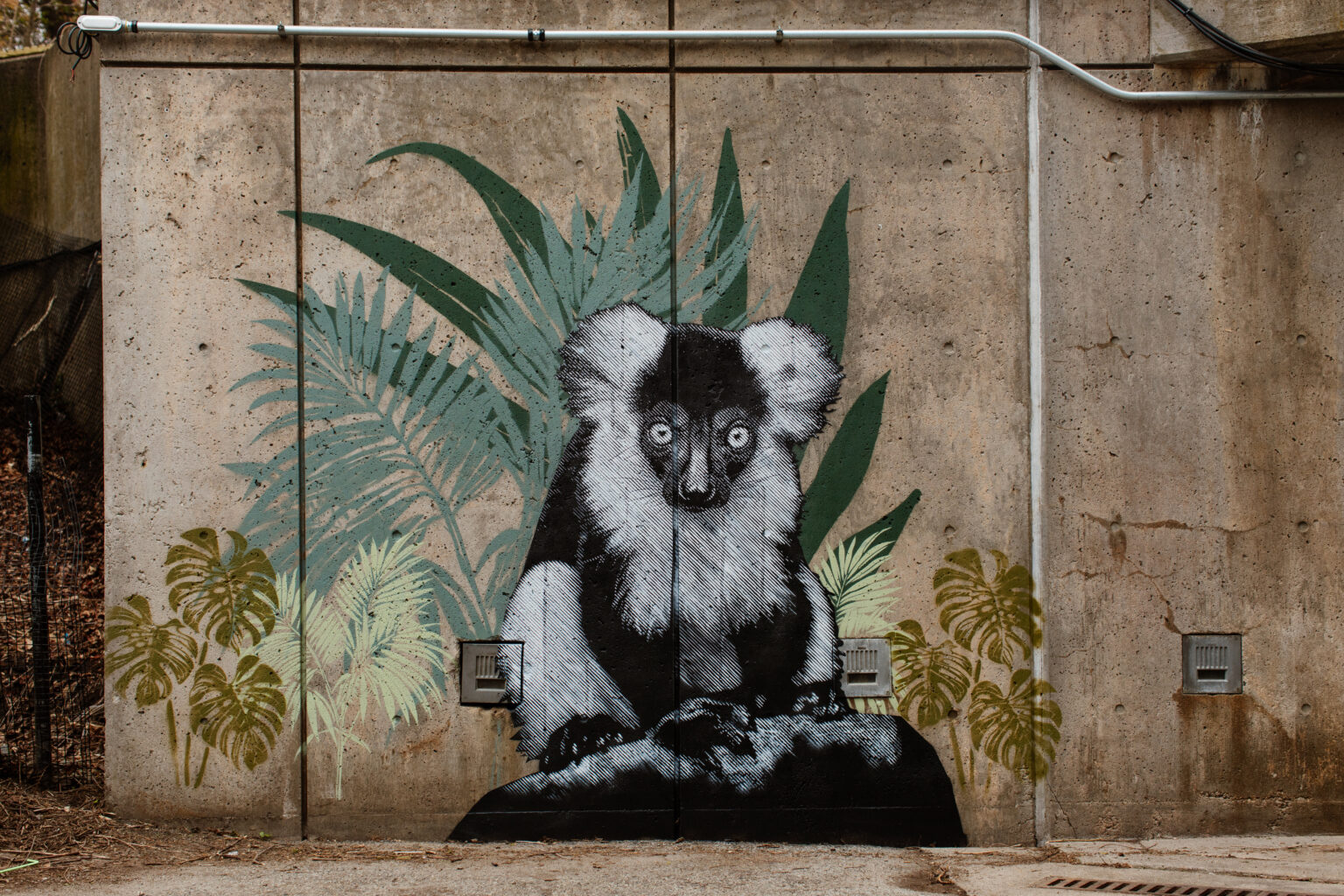 Murals for Conservation – ZNE Conservation Blog
