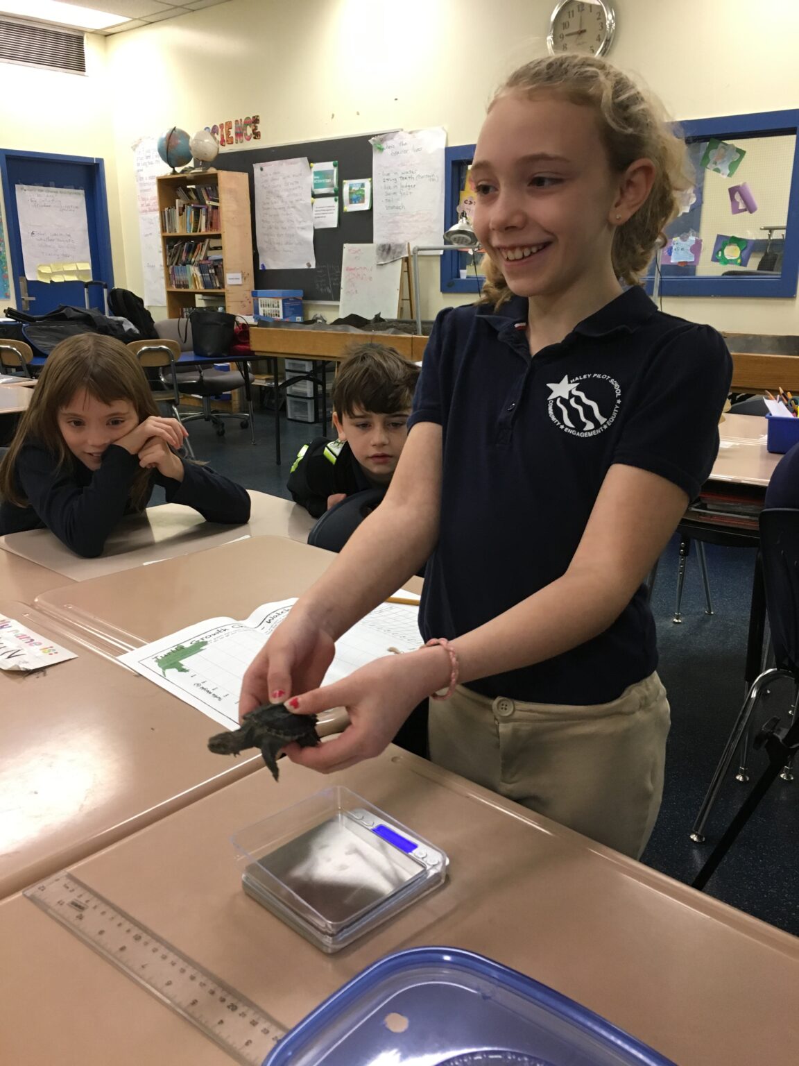 Turtles Get Schooled! 15 Years of Turtle Headstarting in MA Schools ...