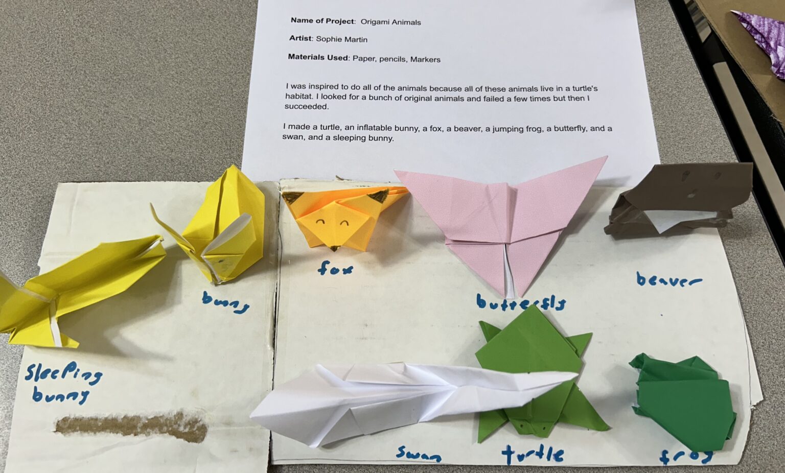 Turtles Get Schooled! 15 Years of Turtle Headstarting in MA Schools ...