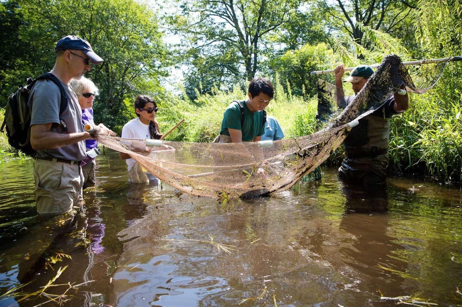Shine Bright like a Bridle Shiner – ZNE Field Conservation Blog