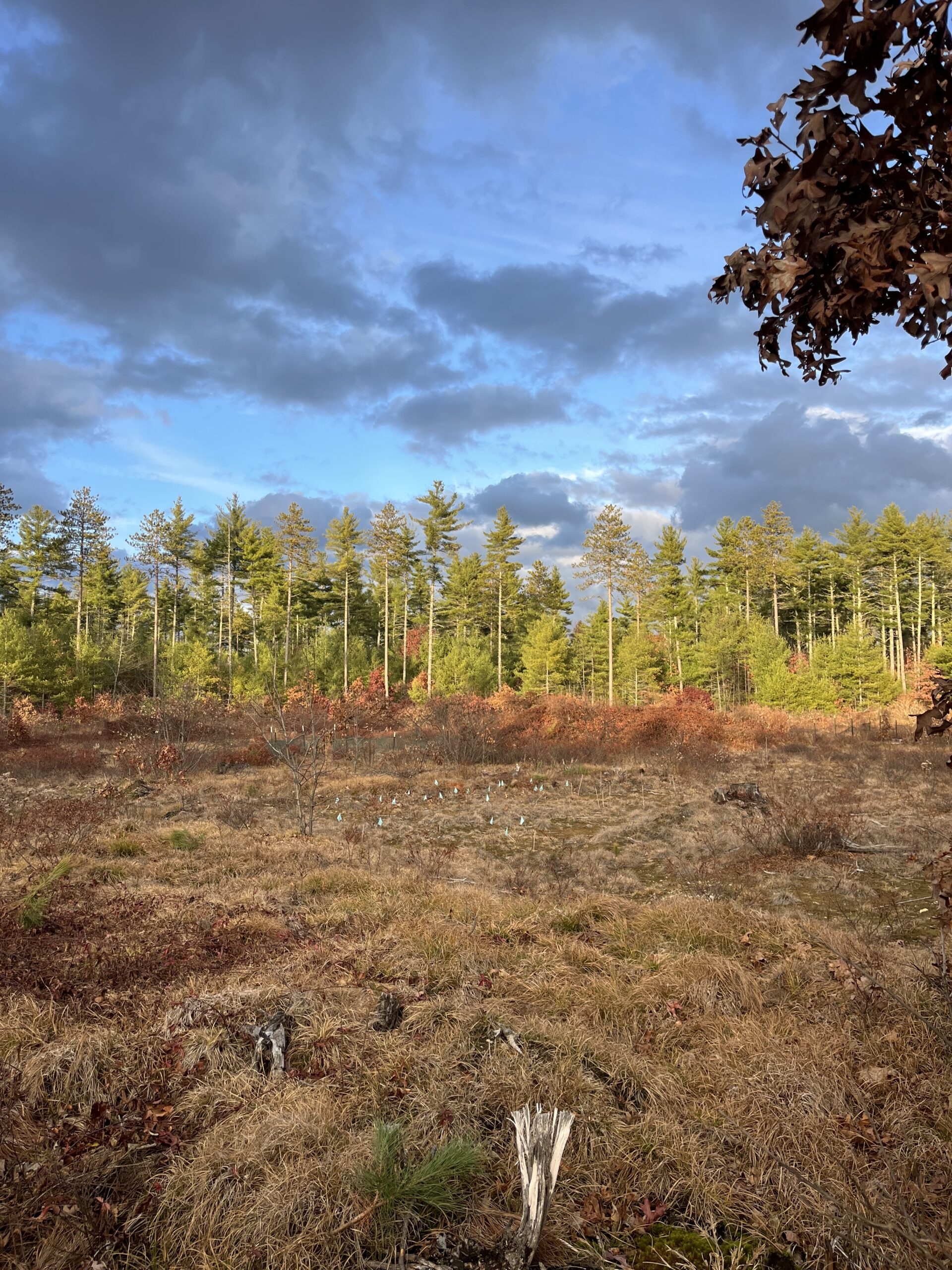 ZNE Field Conservation Blog